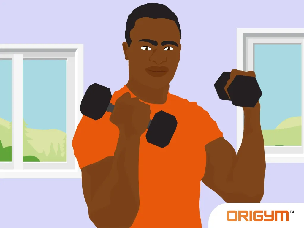 Agonist vs Antagonist Muscles: Key Differences Explained | OriGym